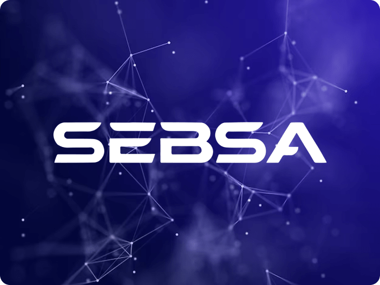 Partners – Sorcha Systems